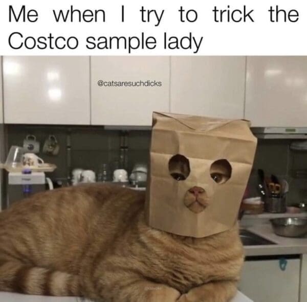 23 Costco Memes to Make You Realize That Costco Athletic Pants Are ...