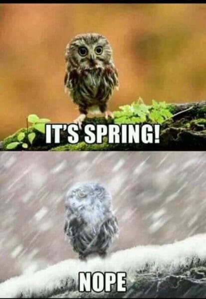 25 Spring Memes Since Spring Is Right Around the Corner