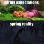25 Spring Memes Since Spring Is Right Around the Corner