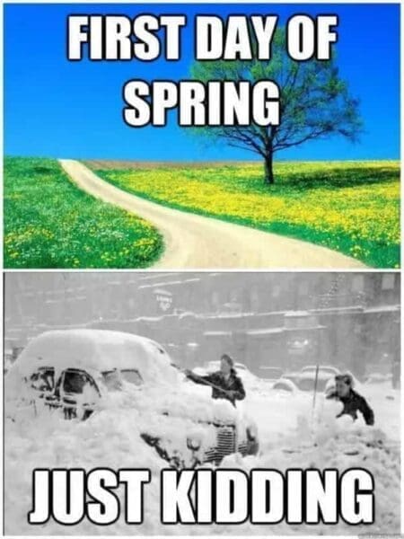 25 Spring Memes Since Spring Is Right Around the Corner