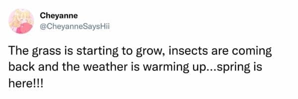 25 Spring Memes Since Spring Is Right Around the Corner