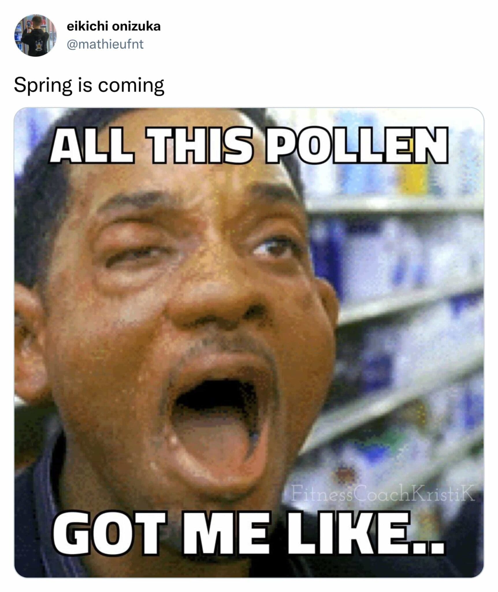 25 Spring Memes Since Spring Is Right Around the Corner