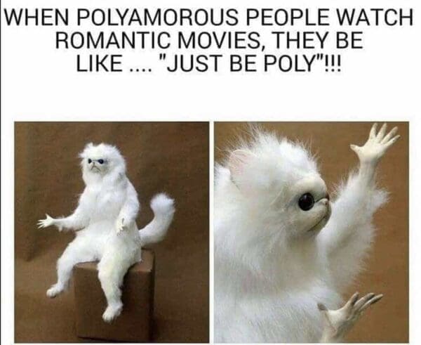 30 Polyamory memes for folks who are interested in the the lifestyle