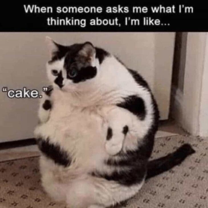 40 Baking Memes Fresher Than the Baking Soda You’re Using