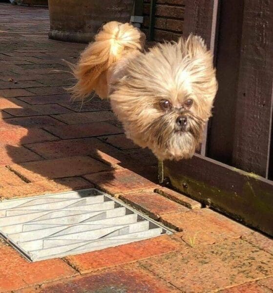 40 Mind-Bending Photos That Will Make You Look Twice