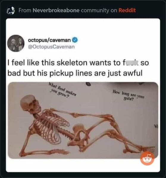 20 Skeleton Memes because no Halloween would be complete without them