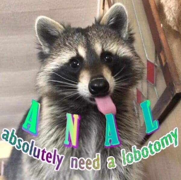 39 Weird Memes Because the Internet Is a Weird, Weird, Place.