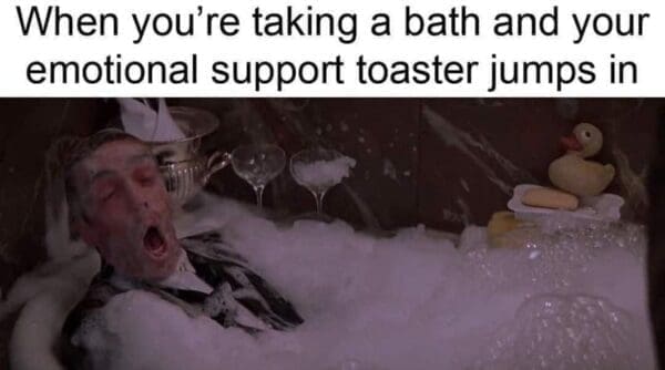 39 Weird Memes Because the Internet Is a Weird, Weird, Place.