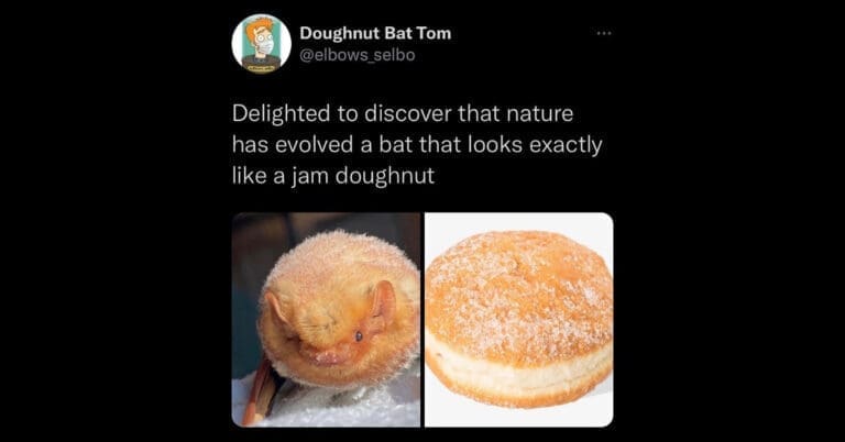 29 Wholesome Memes To Kick Off The Week