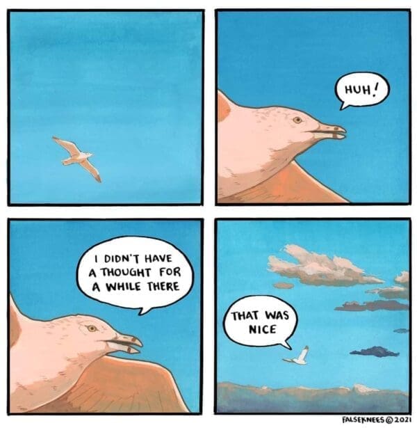 40 Bird Memes (If You Believe Birds Are Actually Real...)