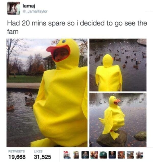 40 Bird Memes (If You Believe Birds Are Actually Real...)
