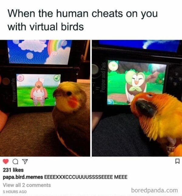 40 Bird Memes (If You Believe Birds Are Actually Real...)