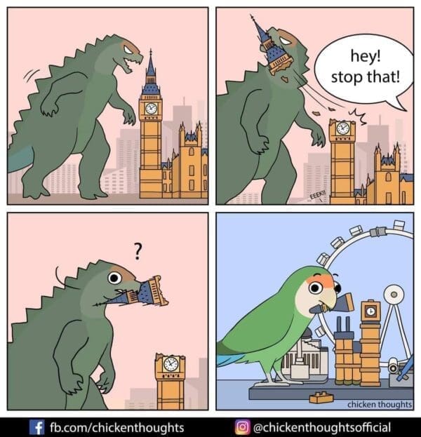 40 Bird Memes (If You Believe Birds Are Actually Real...)
