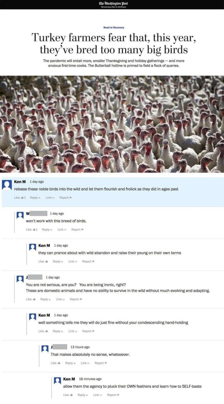Ken M: 40 Hilarious Comment Interactions with the Internet's Legendary ...