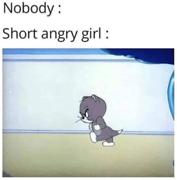 A You A Short King? Here's 32 Short Men Memes For All The Vertically ...