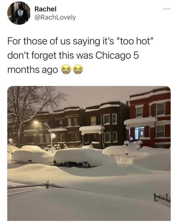 Chicago Memes: 39 Hilarious Chicago Jokes for Locals