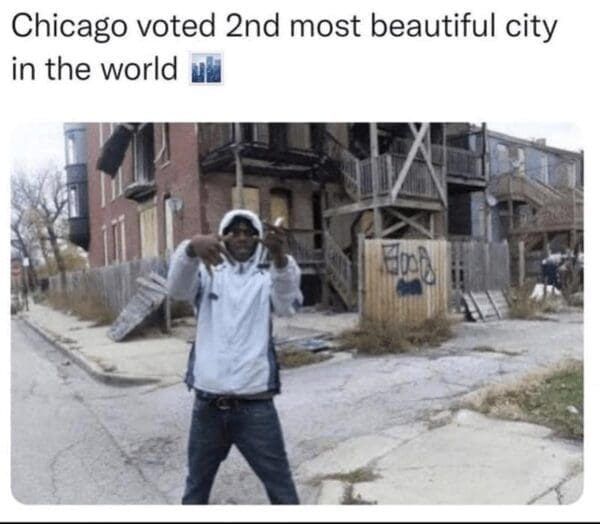 Chicago Memes: 39 Hilarious Chicago Jokes for Locals