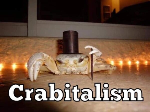 Crab Memes: Because Crabs Can Be Hilarious Too (30 MEMES)