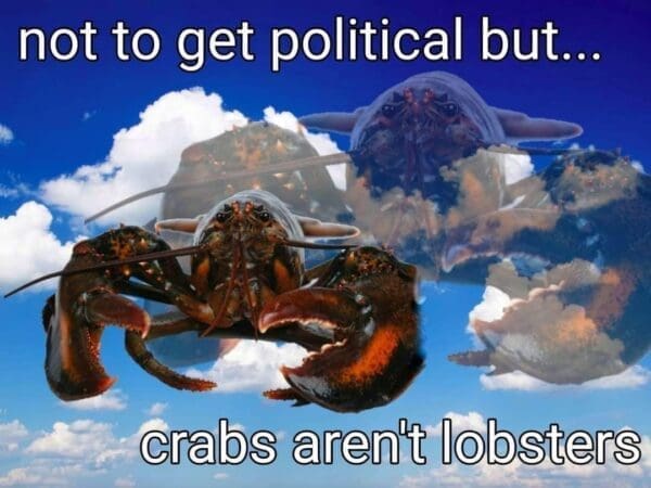 Crab Memes: Because Crabs Can Be Hilarious Too (30 MEMES)