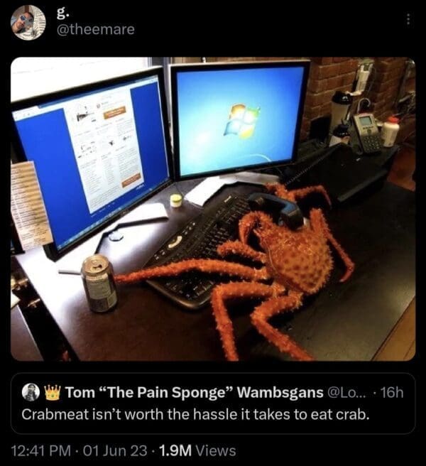 Crab Memes: Because Crabs Can Be Hilarious Too (30 MEMES)