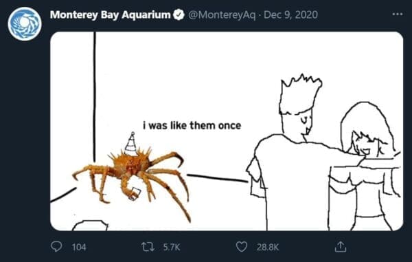 Crab Memes: Because Crabs Can Be Hilarious Too (30 MEMES)