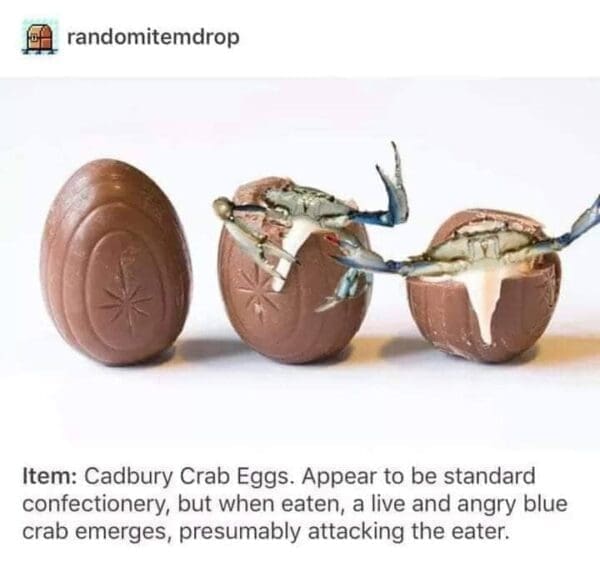 Crab Memes: Because Crabs Can Be Hilarious Too (30 MEMES)