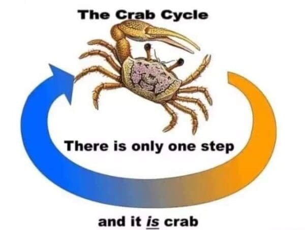 Crab Memes: Because Crabs Can Be Hilarious Too (30 MEMES)