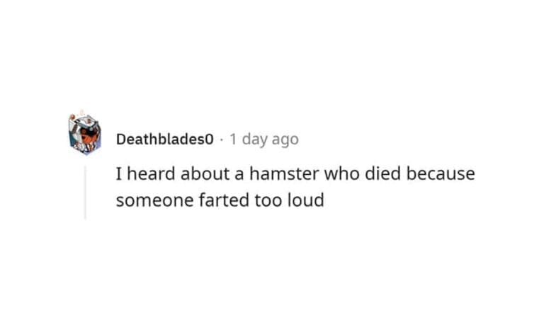 30 Absurd Hamster Exits Because No Hamster Has Passed in a Normal Way