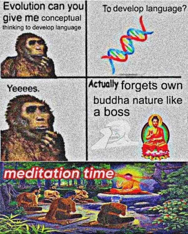 35 Philosophy Memes That Think, Therefore They Exist