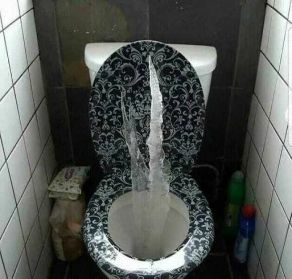 30 of the Weirdest Toilets You Wouldn’t Even Number 2 In