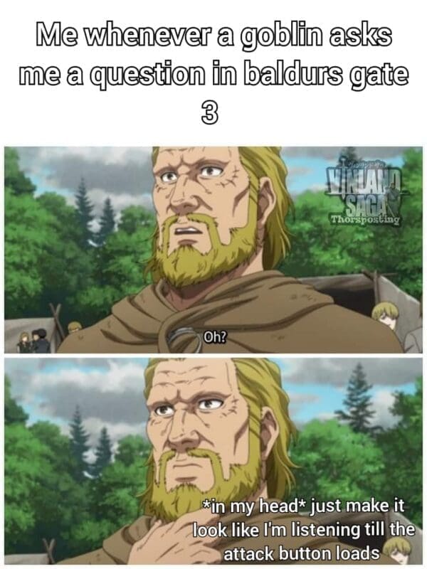 Baldurs Gate Memes: 30 Gamer Memes From Faerun