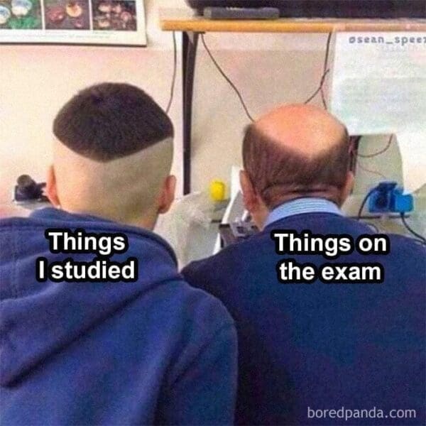 35 College Memes That Define the Student Struggle