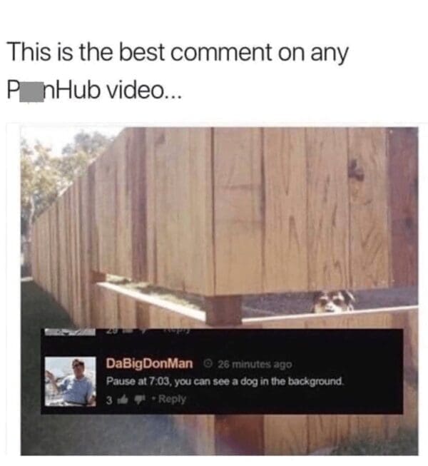 40 Cringe Memes to Give You Stage 5 Secondhand Embarrassment