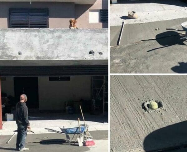 Bad Day Memes: 20 People Having A Worse Day than You