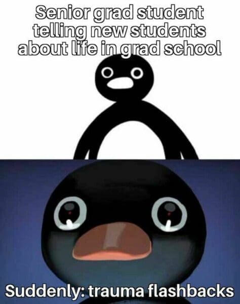 38 Grad School Memes to Help You Get Through the Nightmare That Is Grad ...