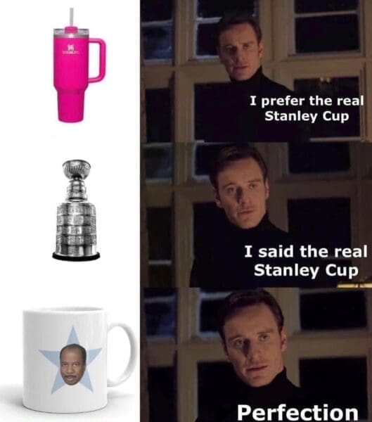 28 Stanley Tumbler Cup Memes Roasting the Giant Stainless Steel Water ...