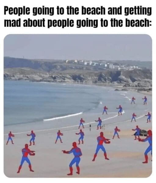 26 Beach Memes to Remind You How Much Fun It Is to Pull Sand Out of ...