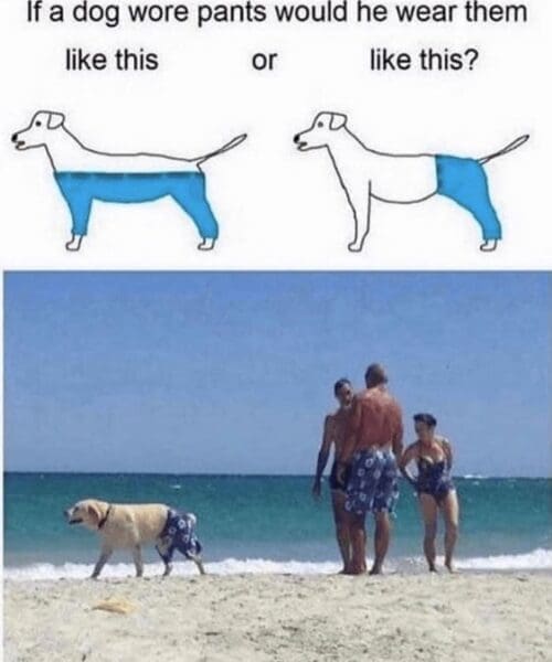 26 Beach Memes to Remind You How Much Fun It Is to Pull Sand Out of ...
