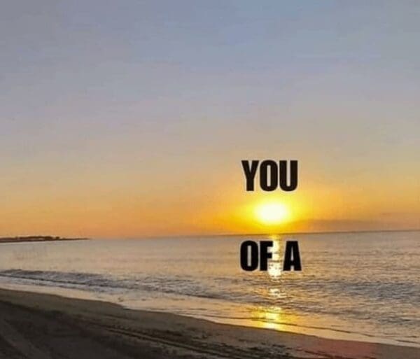 26 Beach Memes to Remind You How Much Fun It Is to Pull Sand Out of ...