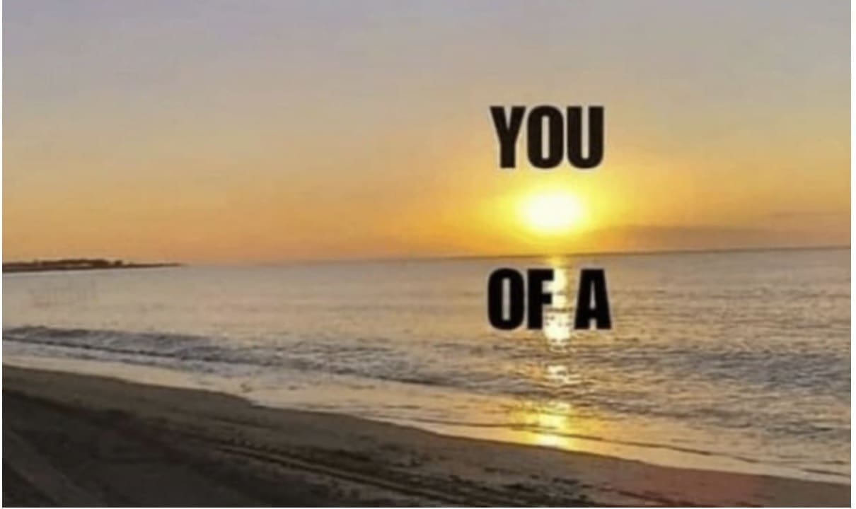 26 Beach Memes to Remind You How Much Fun It Is to Pull Sand Out of ...