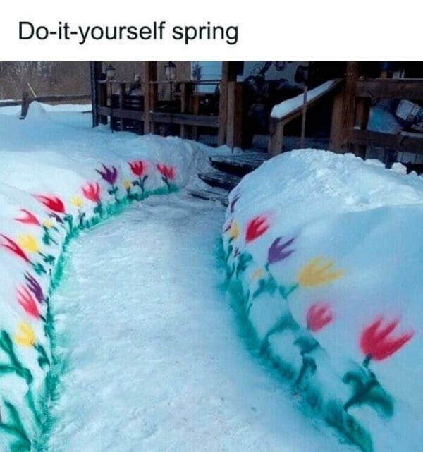 Finnish Funnies: 40 Memes Guaranteed to Make You Smile (Even in the ...