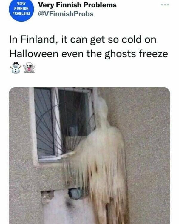 Finnish Funnies: 40 Memes Guaranteed to Make You Smile (Even in the ...