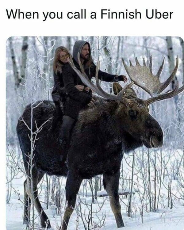 Finnish Funnies: 40 Memes Guaranteed to Make You Smile (Even in the ...