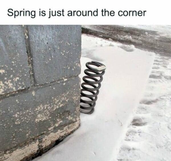 Finnish Funnies: 40 Memes Guaranteed to Make You Smile (Even in the ...