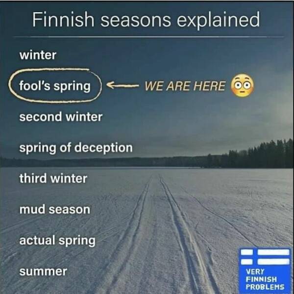 Finnish Funnies: 40 Memes Guaranteed to Make You Smile (Even in the ...