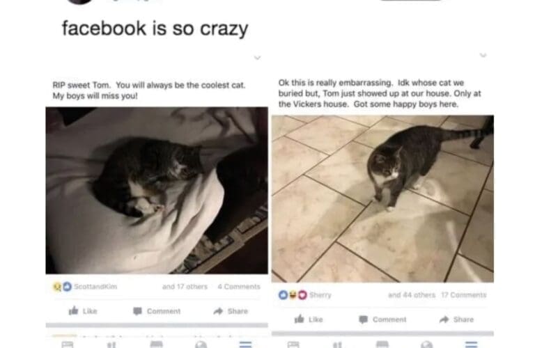 30 of the Funniest Facebook Posts According to Those Who Use It