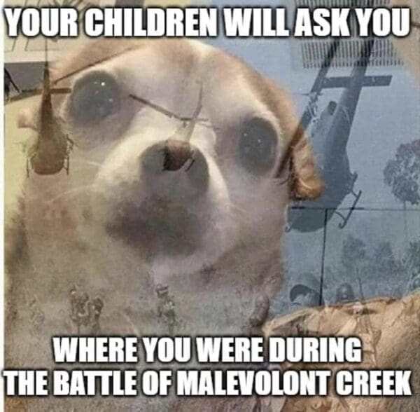 Helldivers 2 Memes: 35 Of The Funniest Helldivers Memes