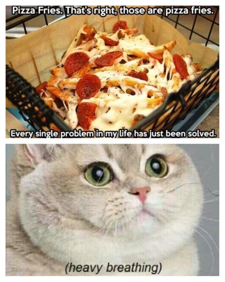 Pizza Memes: 40 Hilarious Memes for Pizza Time