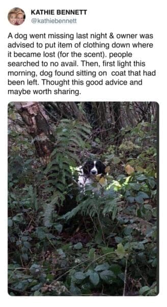 40 Positive Memes That Will Instantly Make You Feel Better About Life