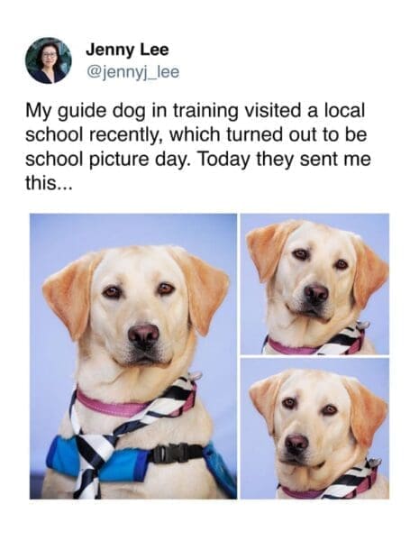 40 Positive Memes That Will Instantly Make You Feel Better About Life